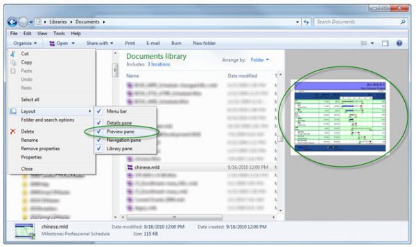 Download Milestones Preview Handler – Project Management Software